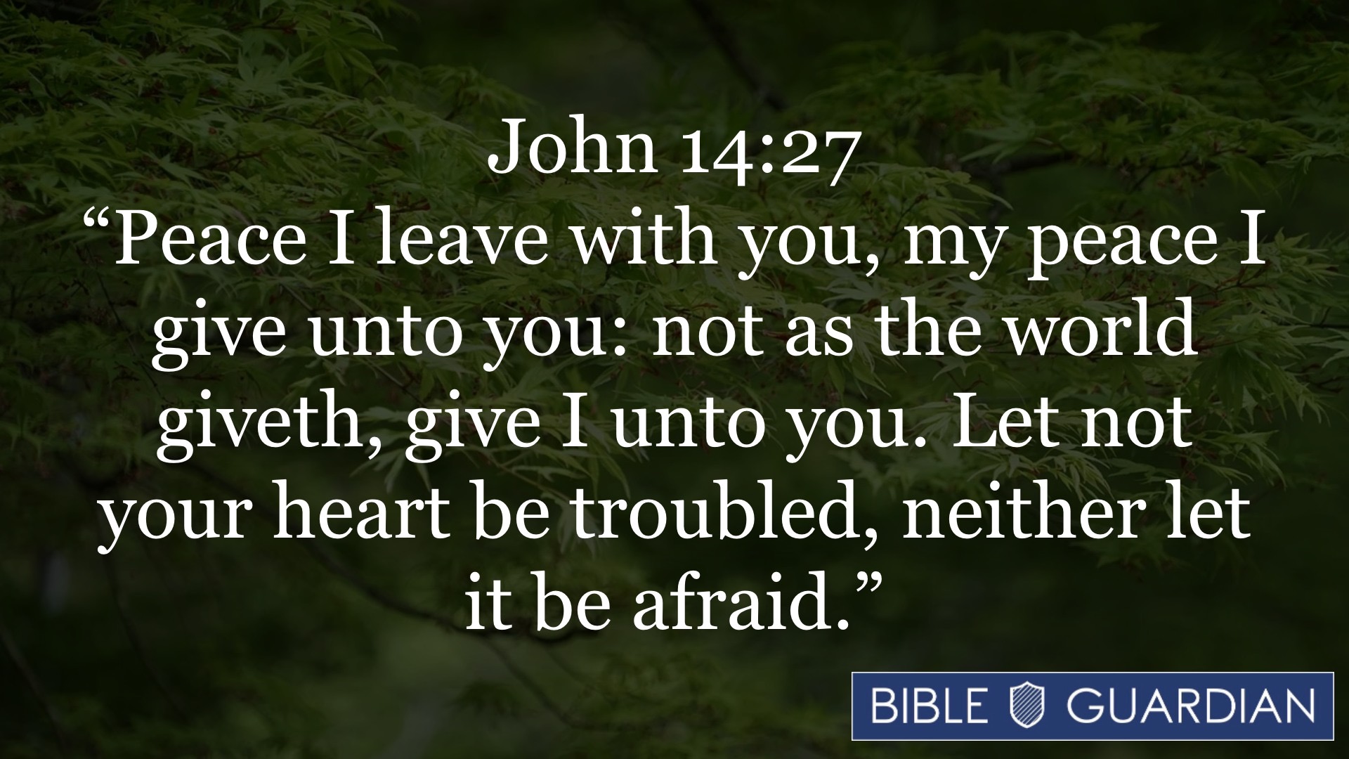 Authorized King James Bible | The Bible Guardian